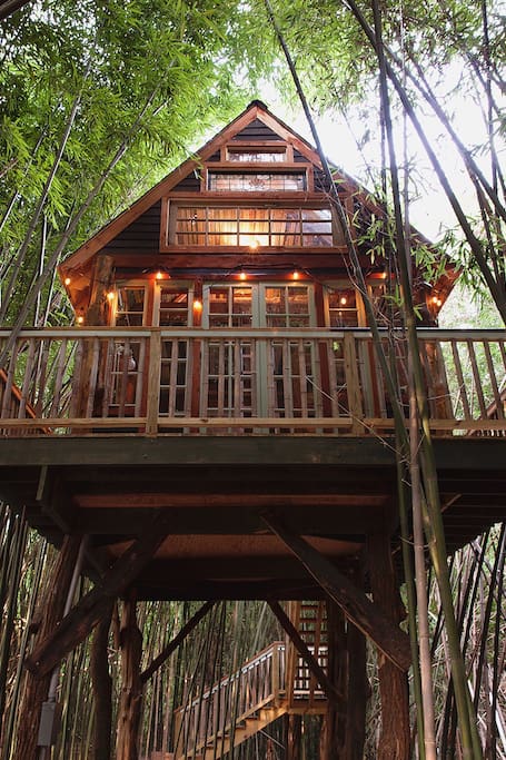 Atlanta Alpaca Treehouse in the Bamboo Forest in Atlanta, Georgia ...